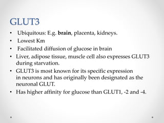 Digestion and Absorption of Carbohydrates- Biochemistry | PPTX ...