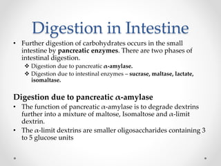 Digestion and Absorption of Carbohydrates- Biochemistry | PPTX