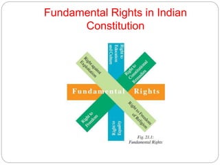 Human rights and fundamental rights | PPTX