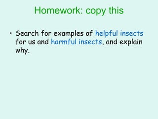 1º ESO Invertebrates English.spanish | PPT