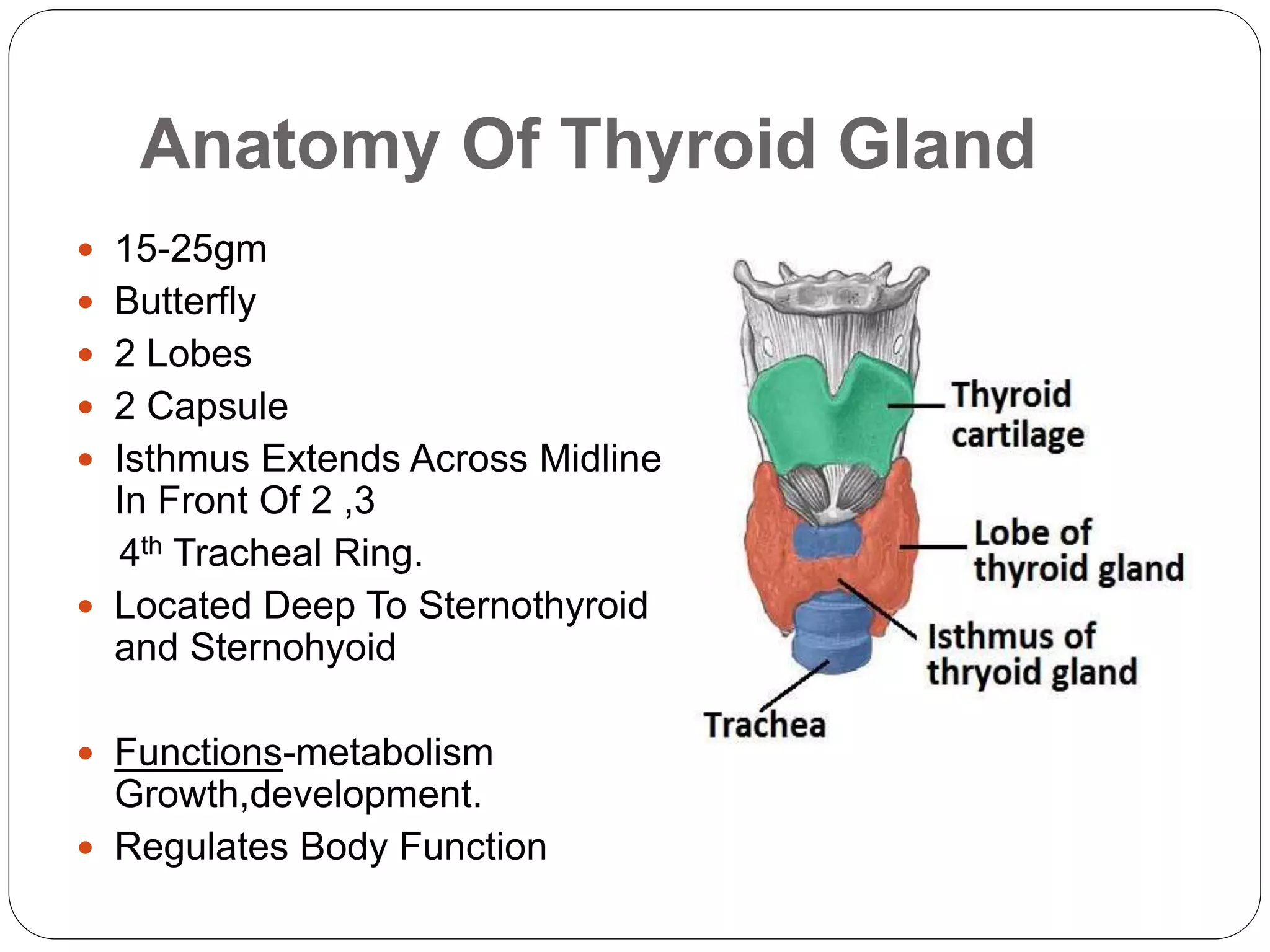 anatomy of neck and its medicolegal importance | PPTX