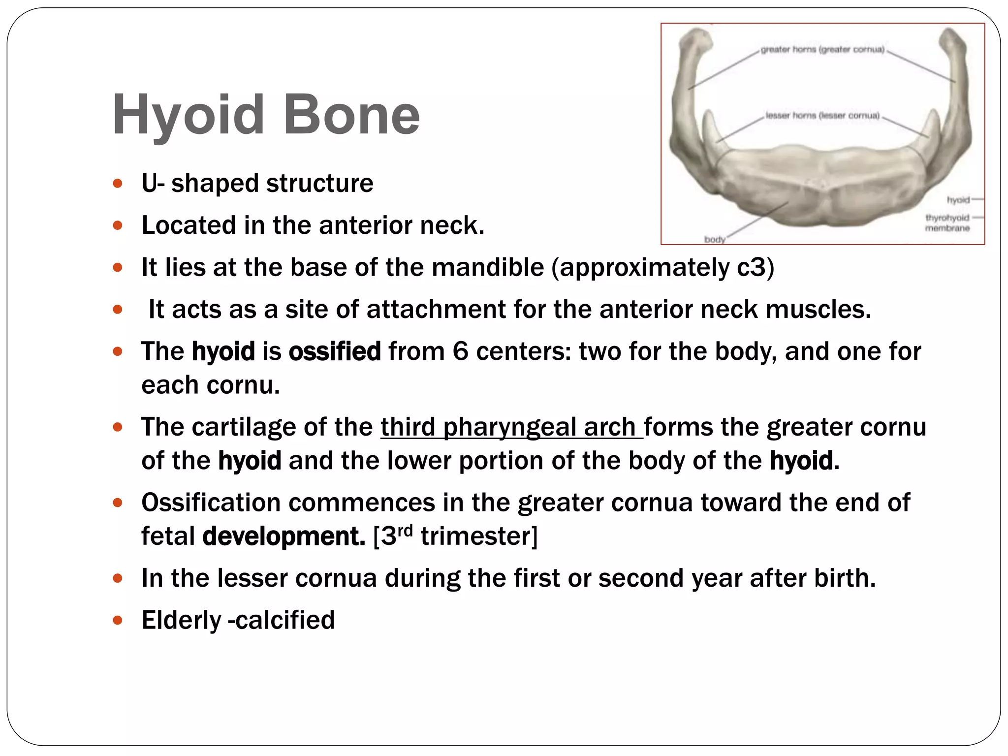 anatomy of neck and its medicolegal importance | PPTX