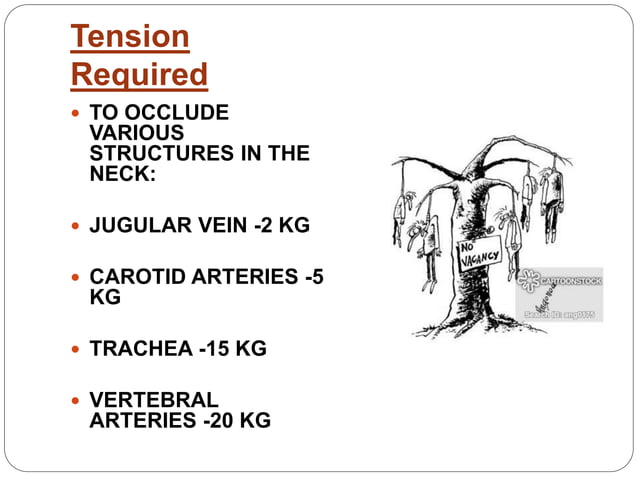 anatomy of neck and its medicolegal importance | PPTX