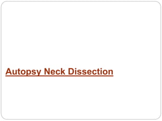 anatomy of neck and its medicolegal importance | PPTX