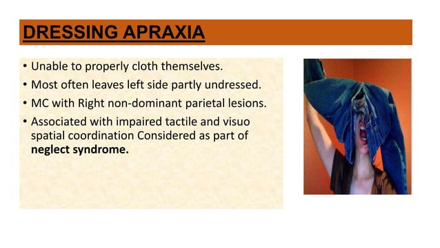 distribution of body schema and spatial relationship | PPTX | Brain and ...