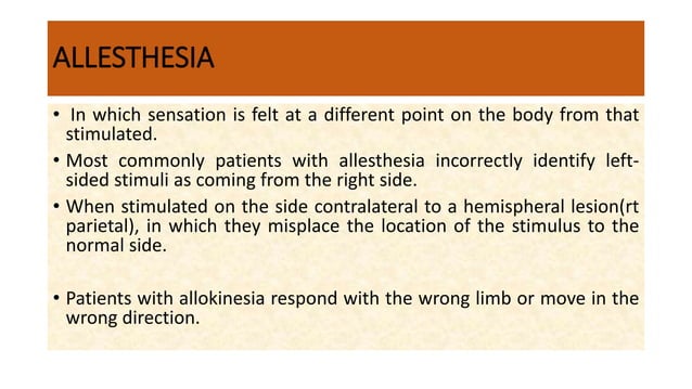distribution of body schema and spatial relationship | PPTX | Brain and ...