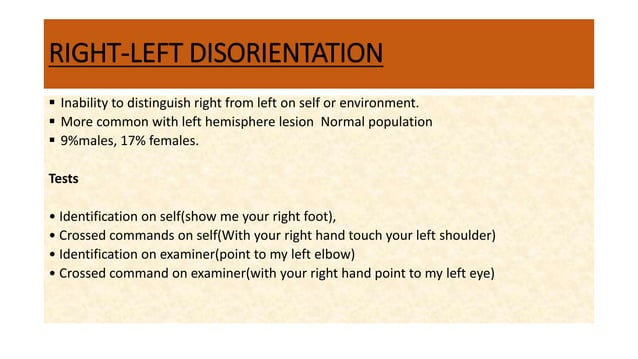 distribution of body schema and spatial relationship | PPTX | Brain and ...