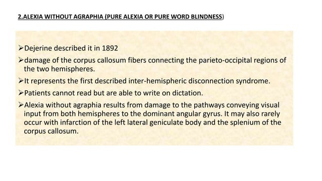 distribution of body schema and spatial relationship | PPTX | Brain and ...