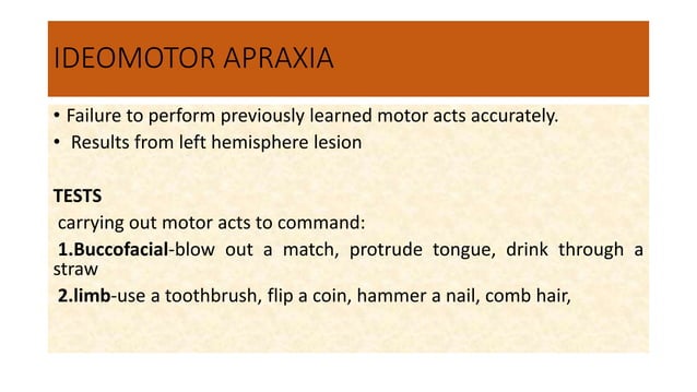 distribution of body schema and spatial relationship | PPTX | Brain and ...