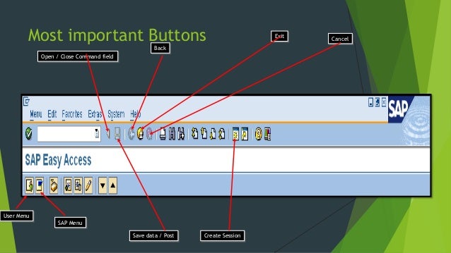 Sap Gui And Navigation Quick Guide