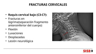 PPT 3 TRAUMATISMO DE LA COLUMNA VERTEBRAL pptx ppt-3-traumatismo-de-la-columna-vertebral-pptx