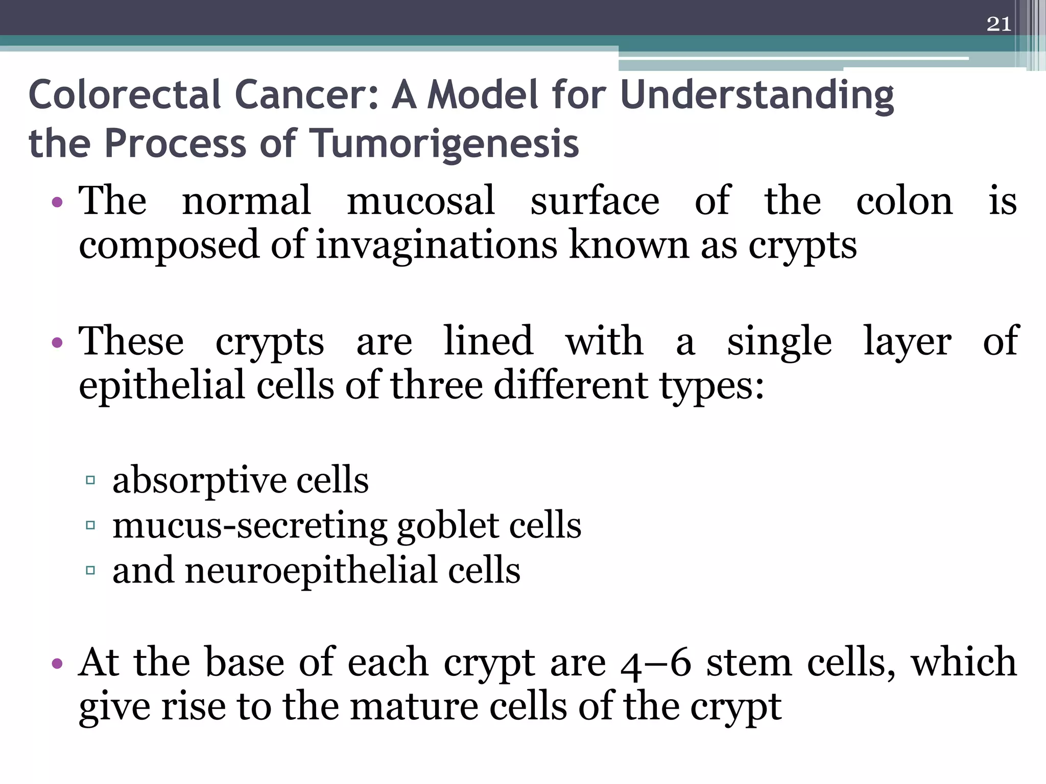 Genetic basis of cancer | PPTX