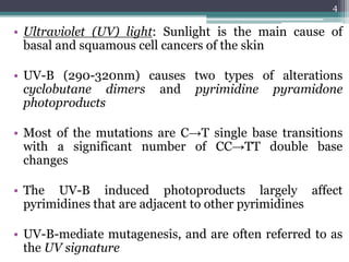 Genetic basis of cancer | PPTX