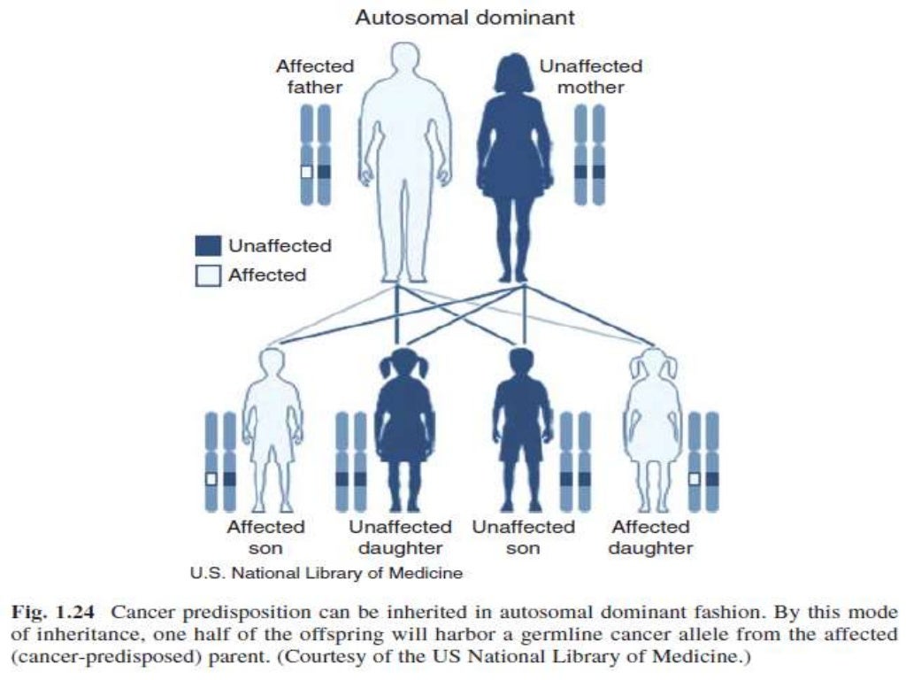 Genetic basis of cancer