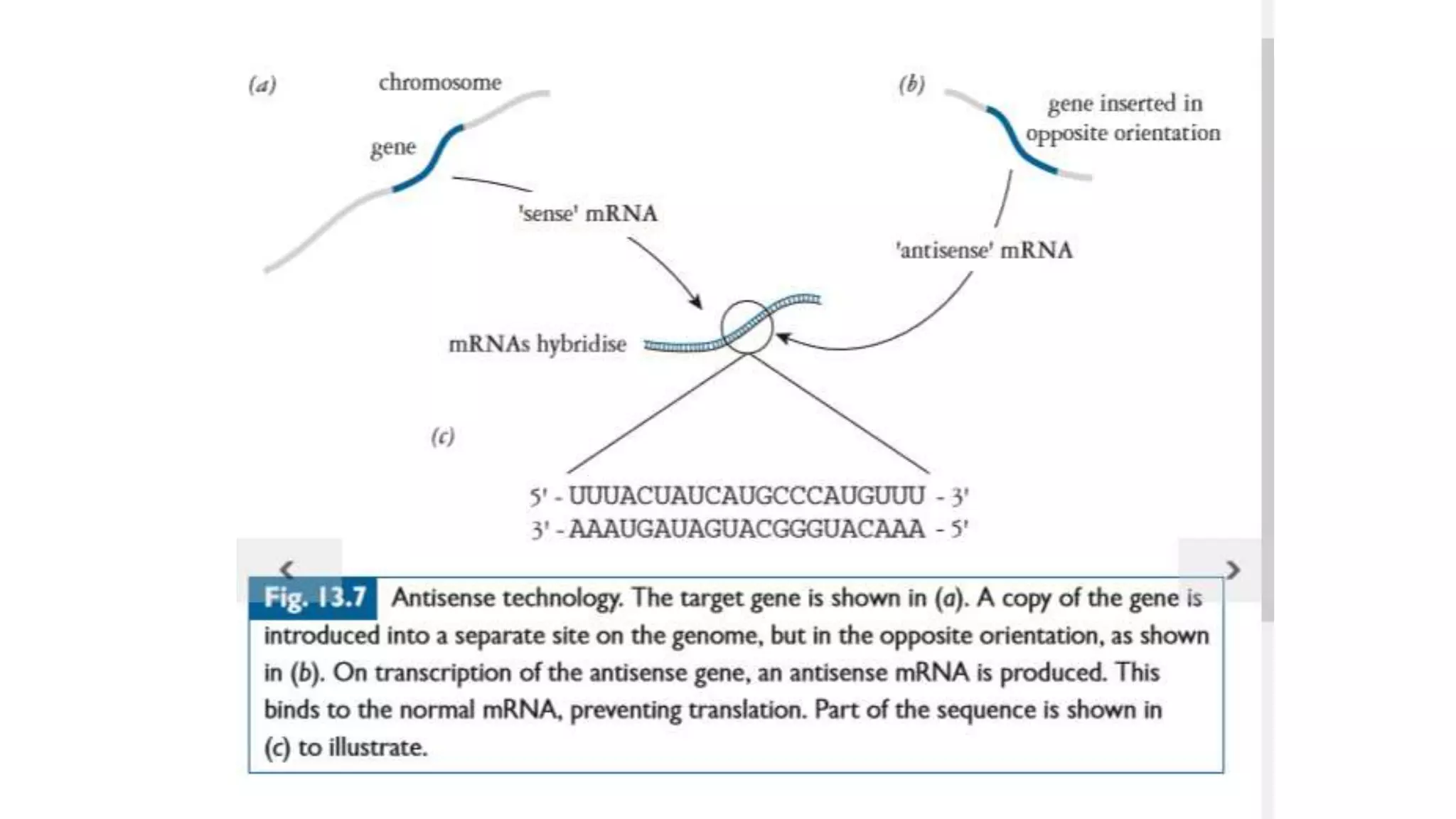 medical and forensic applications of gene manipulation | PPTX