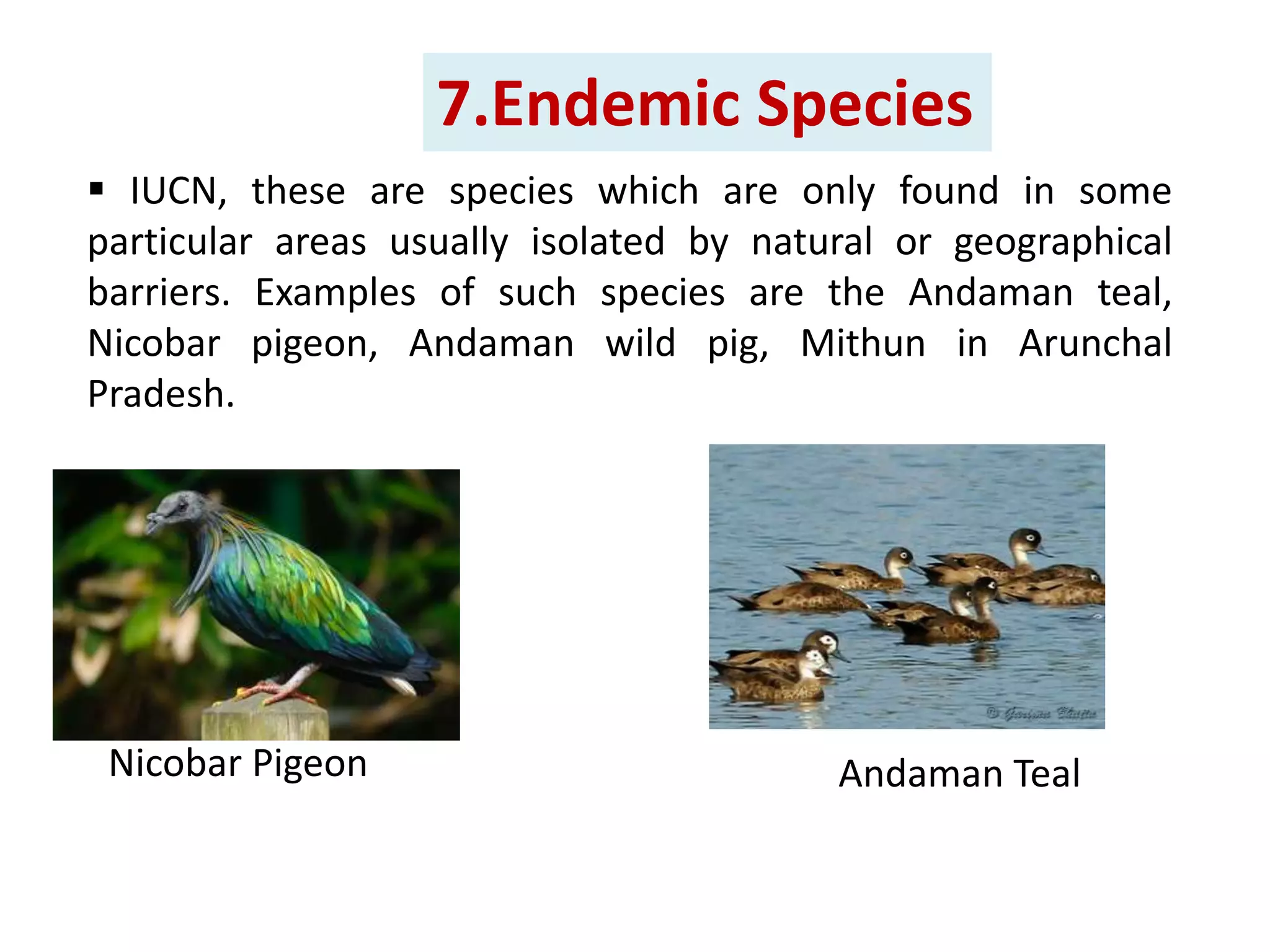 Endangered species and its conservation methods | PPT