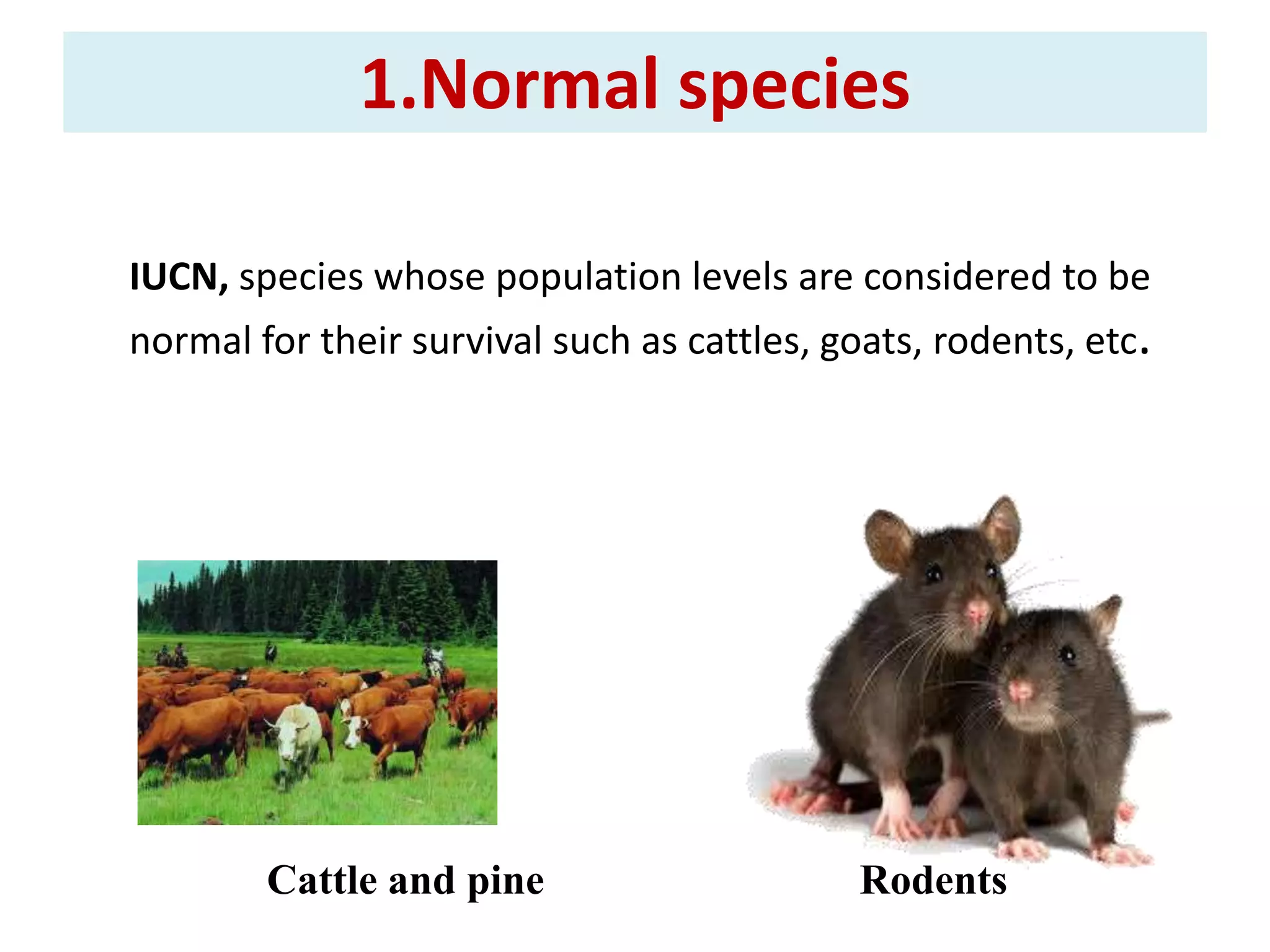 Endangered species and its conservation methods | PPT