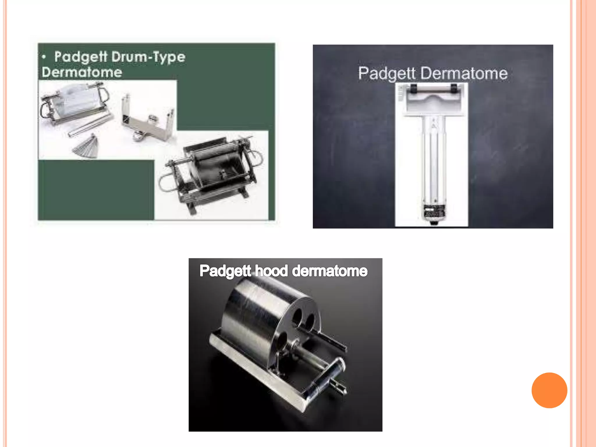 Dermatome Pptx
