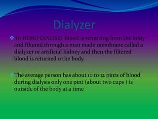 DIALYZER | PPTX