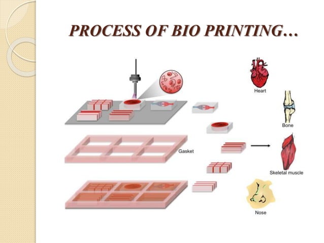 3D BIO PRINTING USING TISSUE AND ORGANS | PPTX
