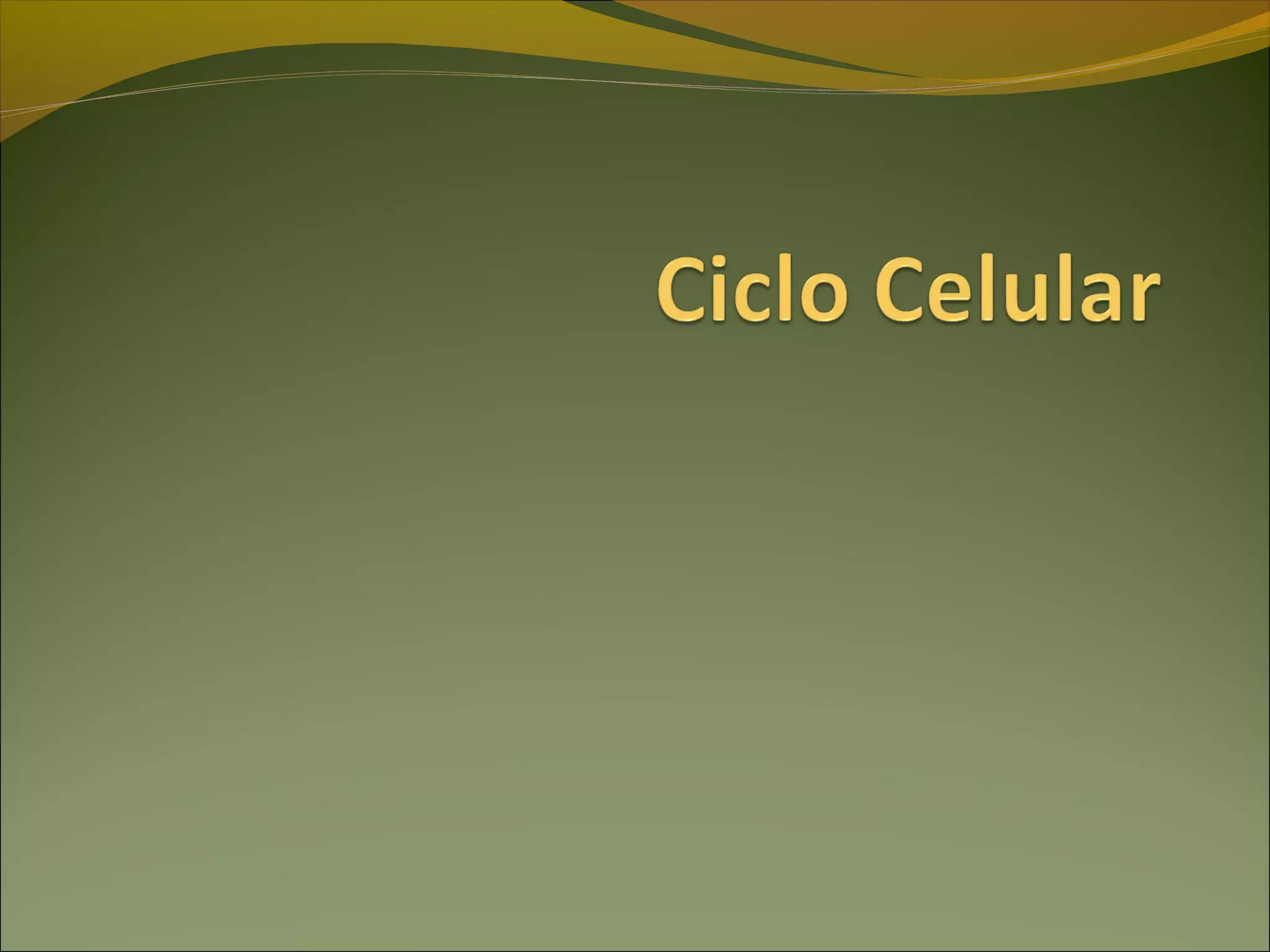 Ppt 4 ciclo celular | PPT