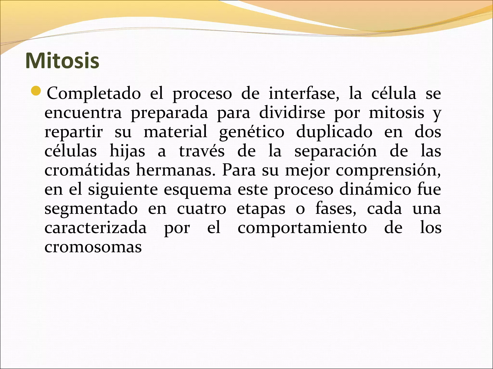 Ppt 4 ciclo celular | PPT