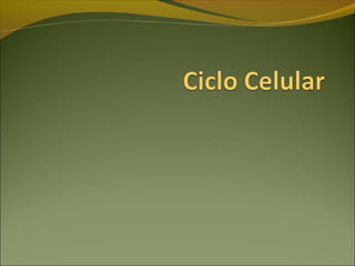 Ppt 4 ciclo celular | PPT