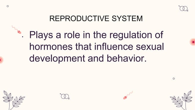 Ppt 4Human Reproductive SystemGrade10.pptx