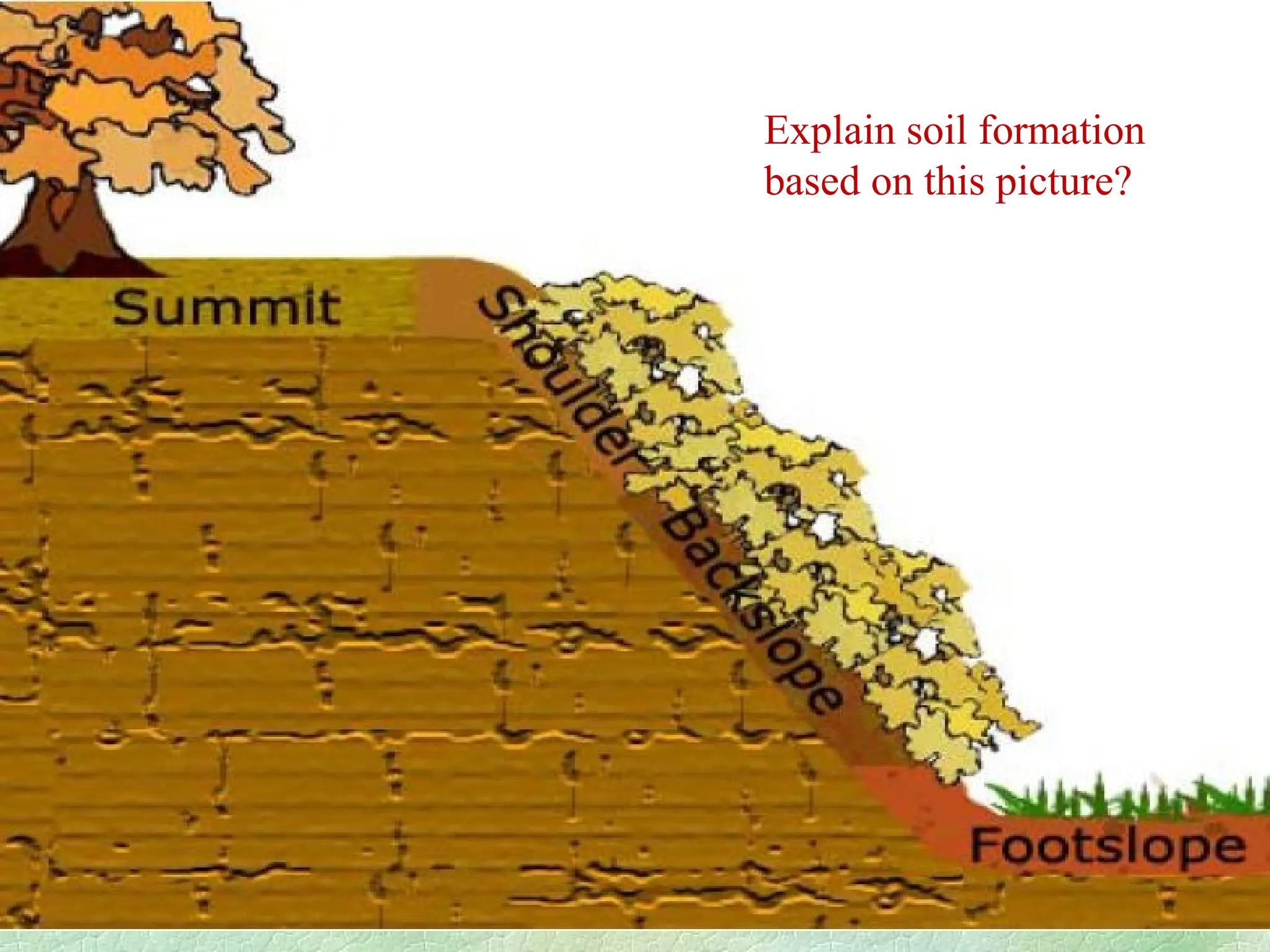 ppt_4_Soil Forming Factors Soil Physical Properties | PPT