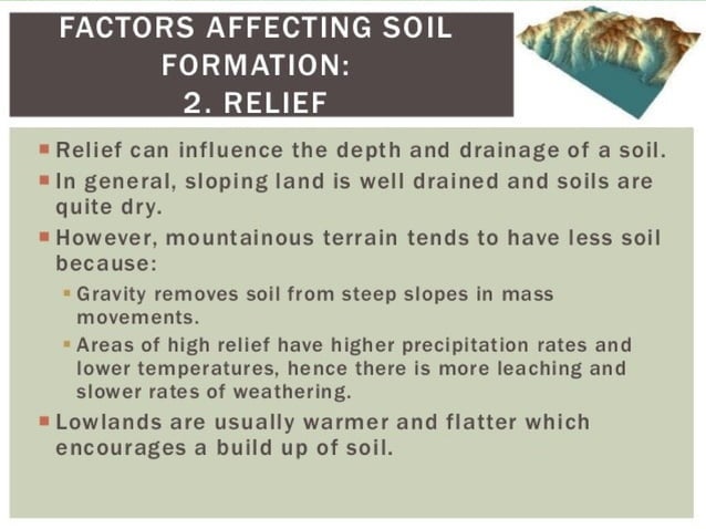 ppt_4_Soil Forming Factors Soil Physical Properties | PPT