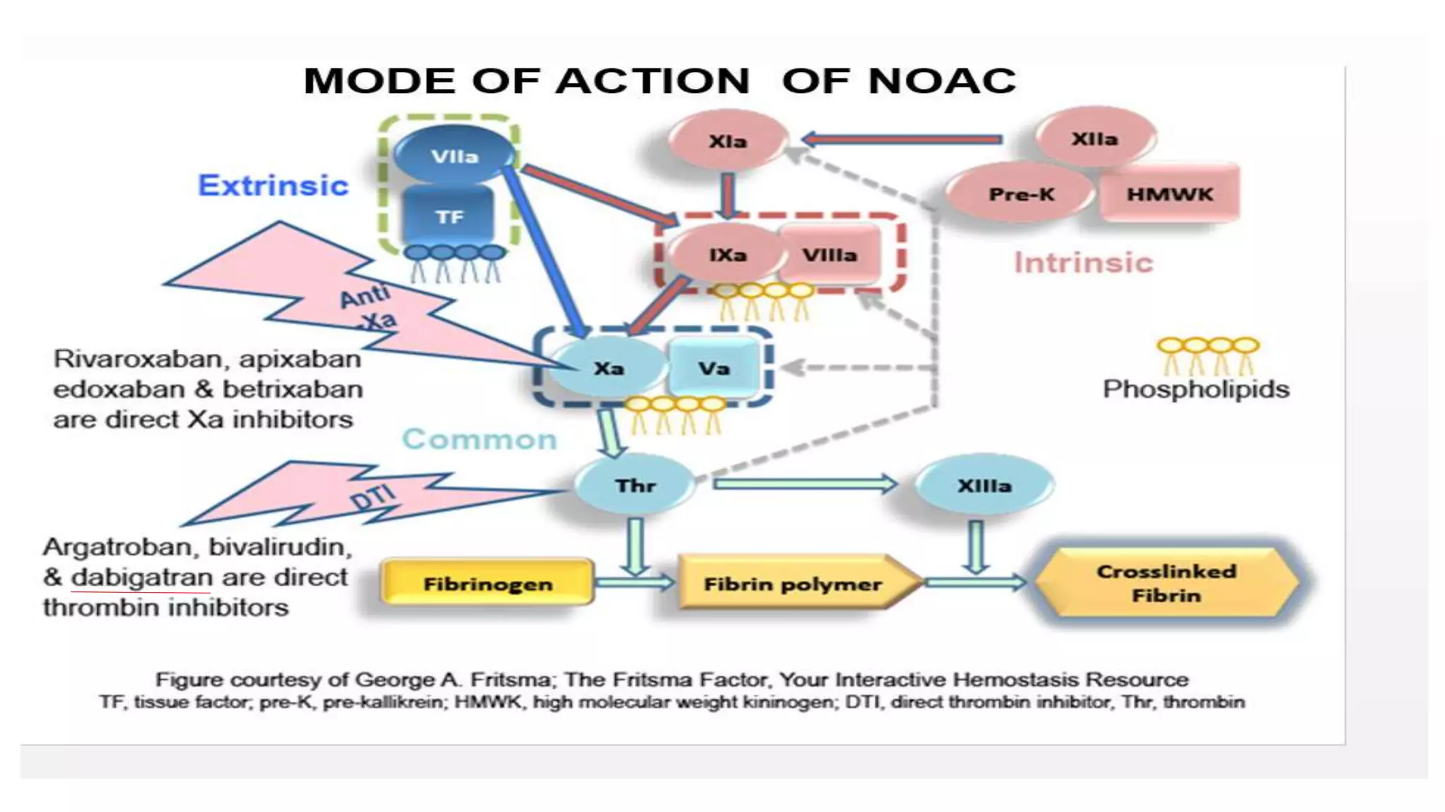 UTILITY OF NOACs IN NEUROLOGY | PPTX