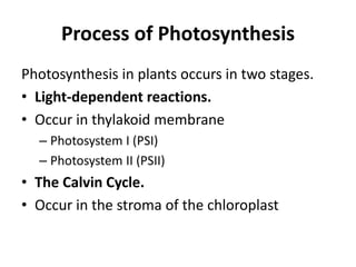 PHOTOSYNTHESIS: What we have learned so far? | PPTX