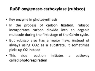 PHOTOSYNTHESIS: What we have learned so far? | PPTX