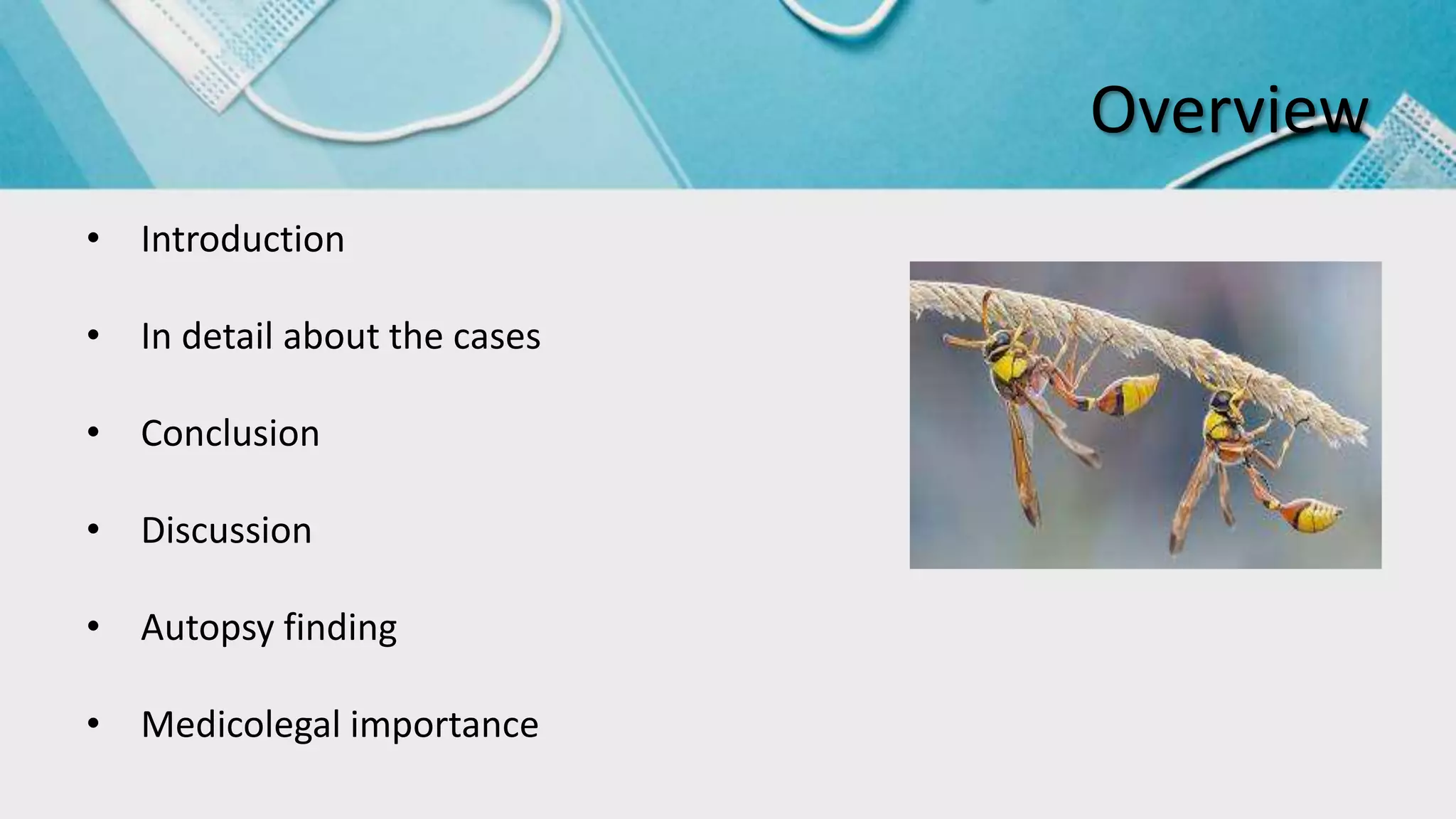 Fatal asain giant hornet 's sting | PPTX