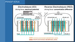 elektrodialisis | PPTX