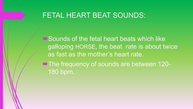 Fetal Doppler Ppt