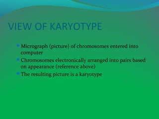 KATYOTYPING | PPT | Infertility | Reproductive Health