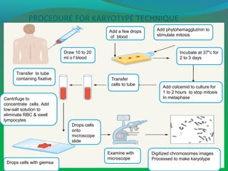 KATYOTYPING | PPT | Infertility | Reproductive Health