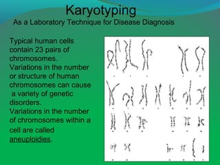 KATYOTYPING | PPT | Infertility | Reproductive Health