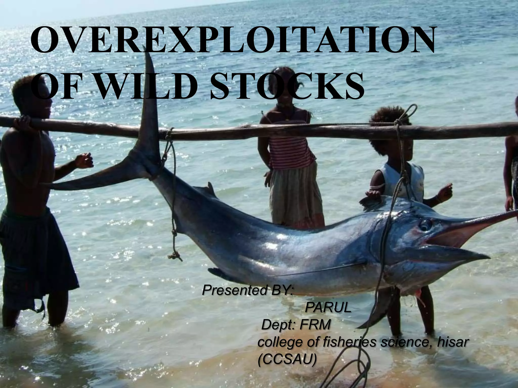 over exploitation of wild stocks | PPTX