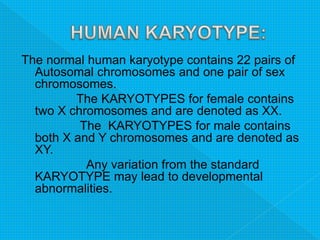 KARYOTYPING | PPTX