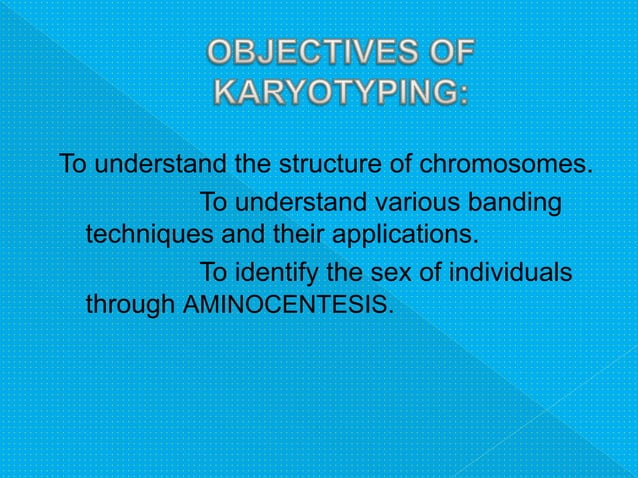 KARYOTYPING | PPTX | Genetics | Science