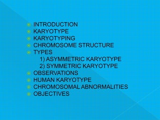 KARYOTYPING | PPTX
