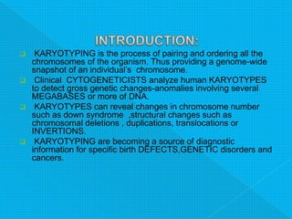 KARYOTYPING | PPTX