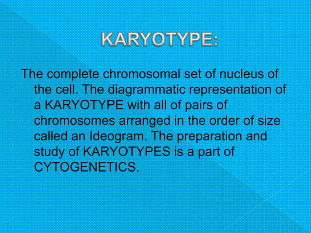 KARYOTYPING | PPTX | Genetics | Science