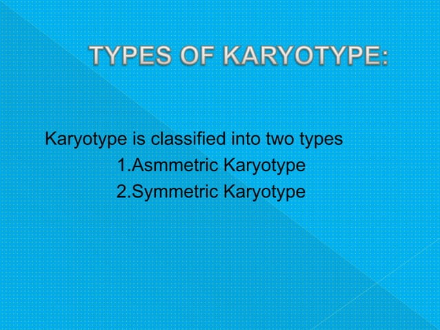 KARYOTYPING | PPTX | Genetics | Science