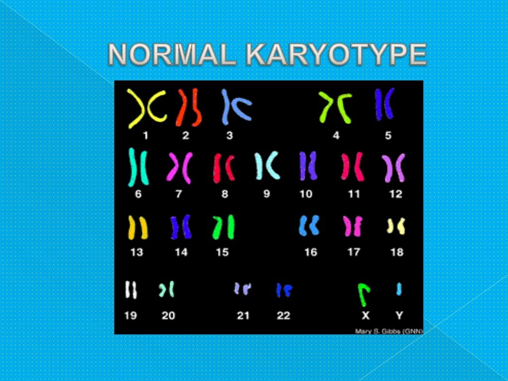 KARYOTYPING