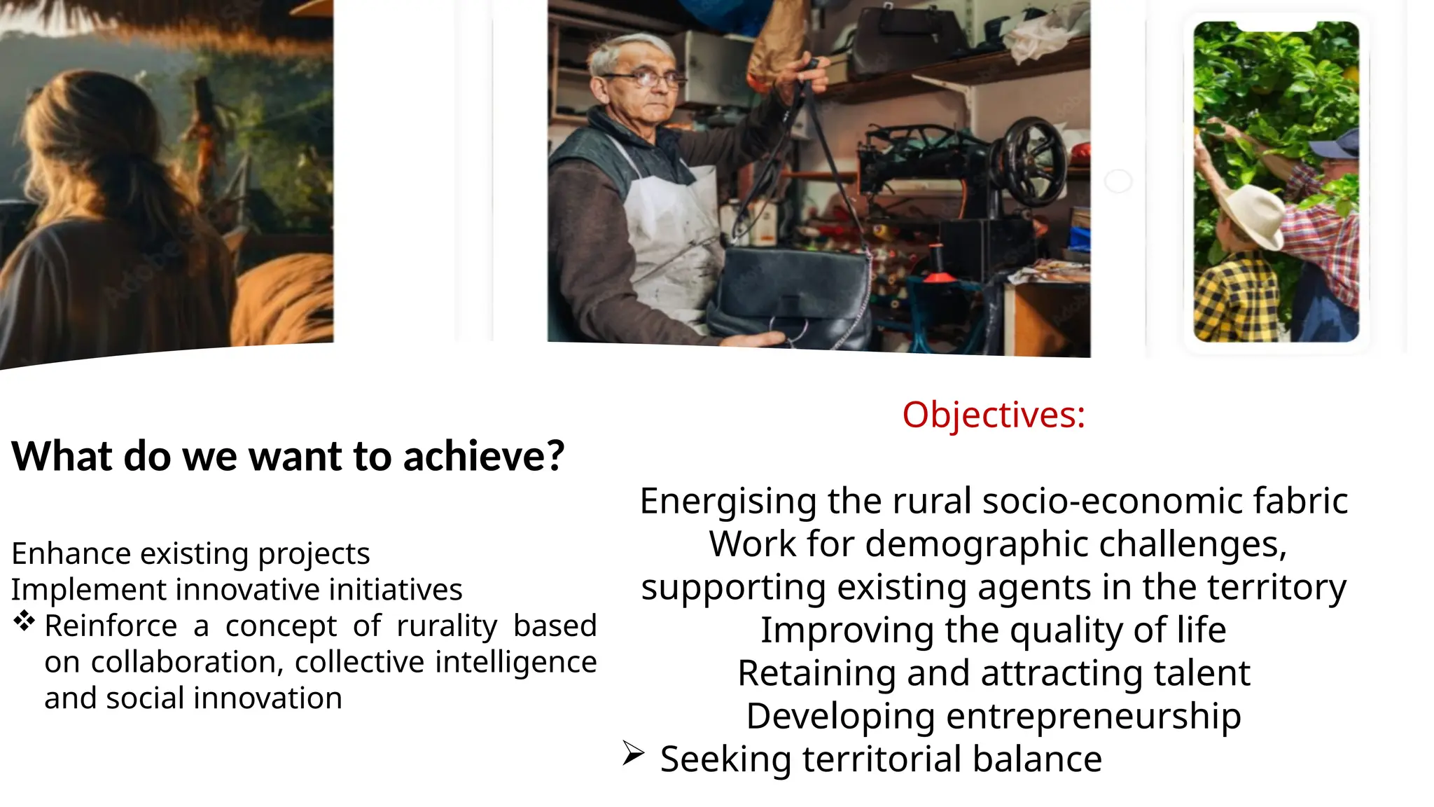 OECD Rural Principles series: Taking an integrated approach to Rural ...