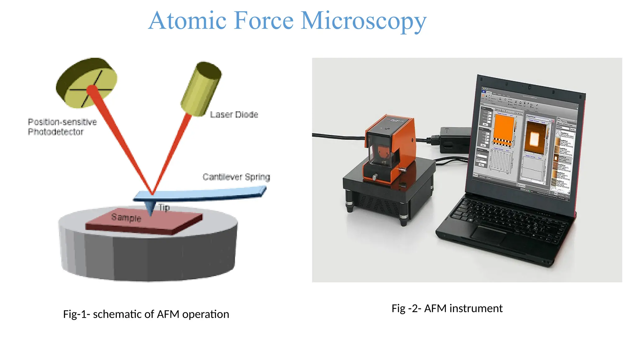 Atomic Force Microscope Afm Full Pptx