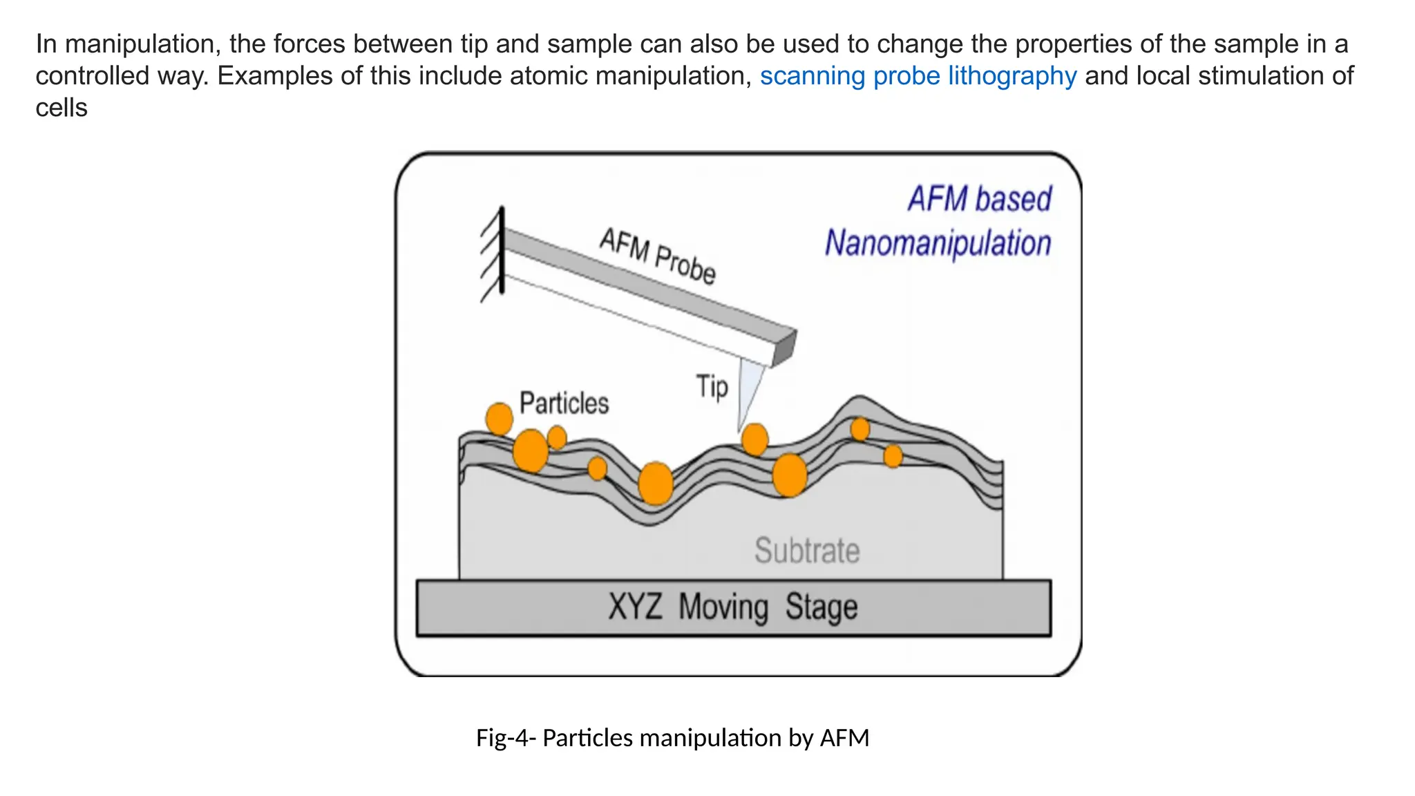 Atomic Force Microscope Afm Full Pptx